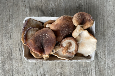 Shiitake Mushrooms - 100g | Cambridge Organic Food Company